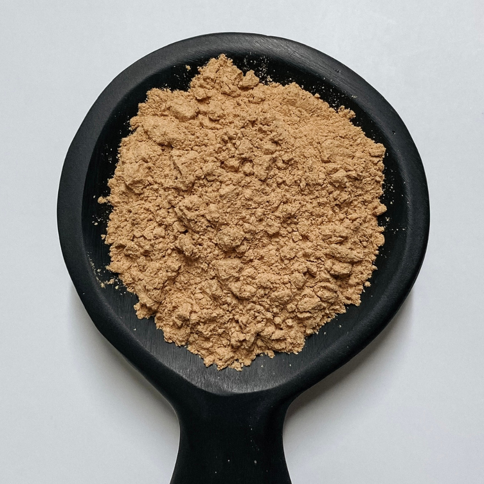 Cordyceps Mushroom Powder Organic – Soltree Wholefoods