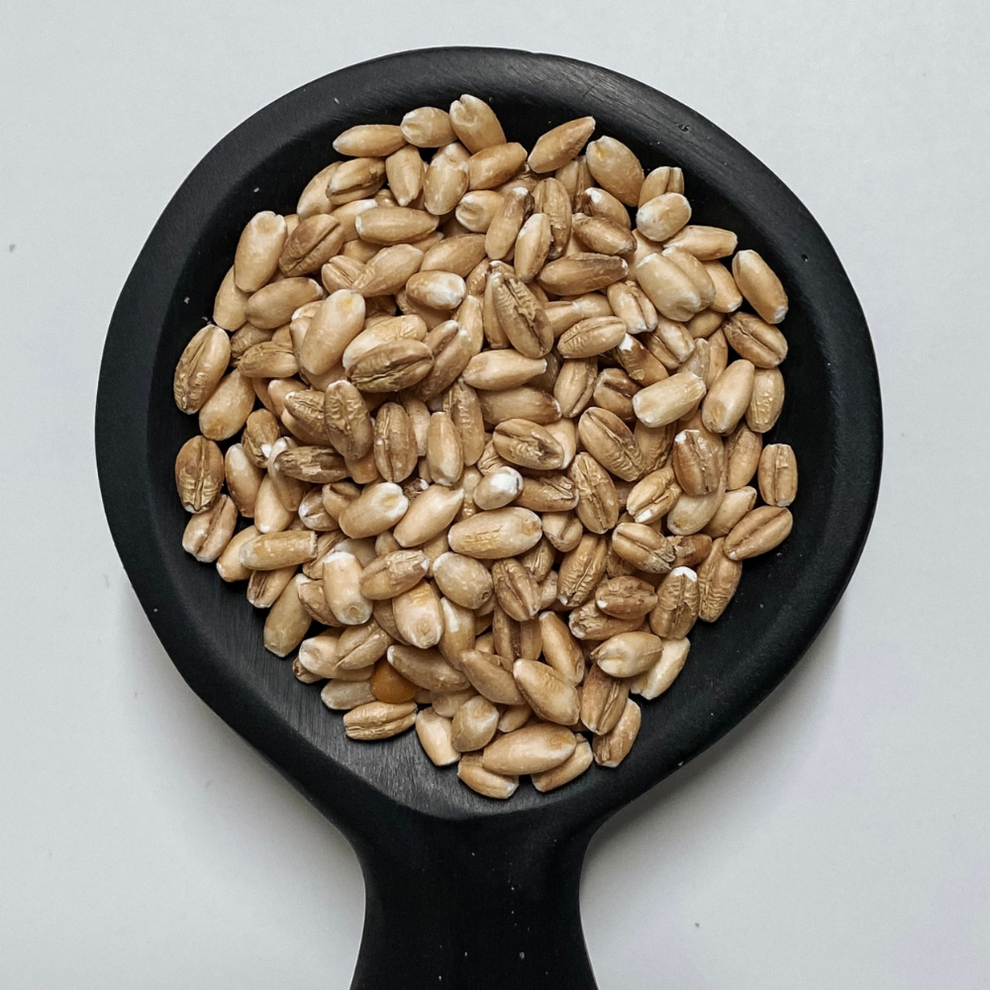 Australian Pearl Barley Organic – Soltree Wholefoods