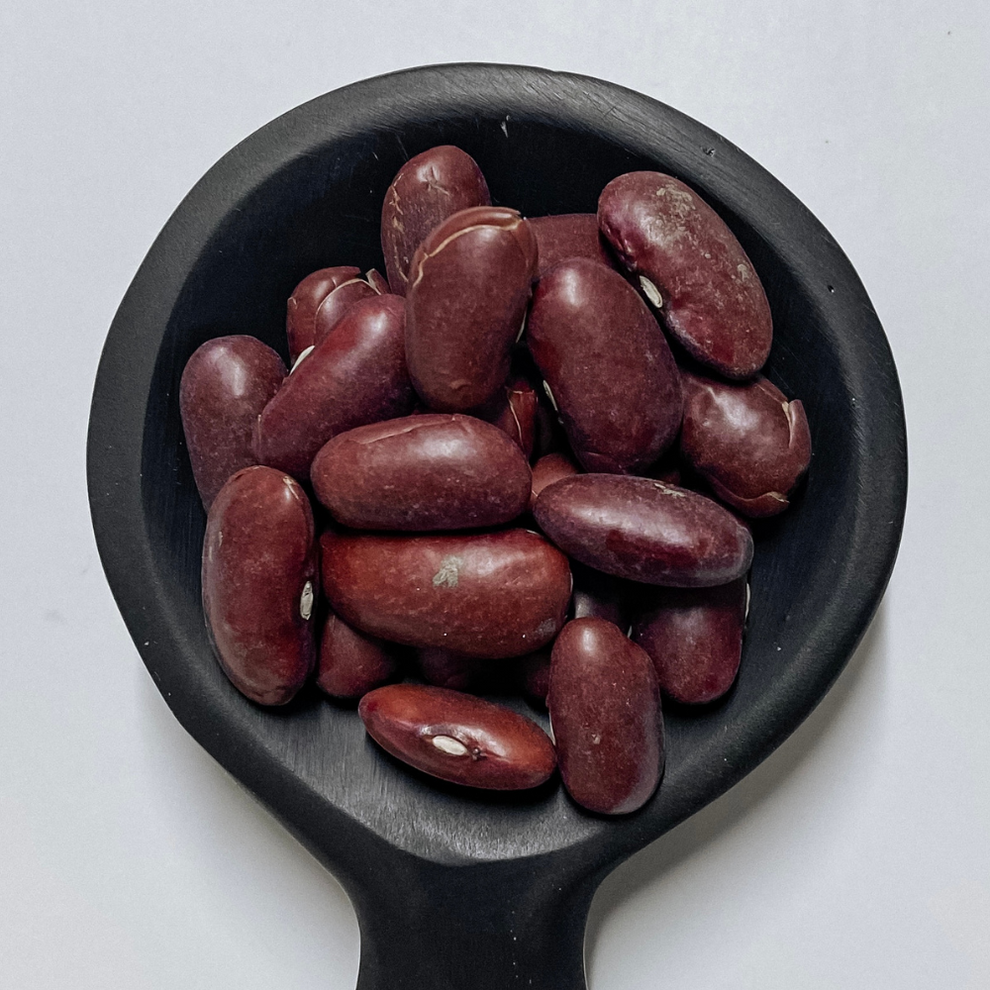 Kidney Beans Red Organic – Soltree Wholefoods
