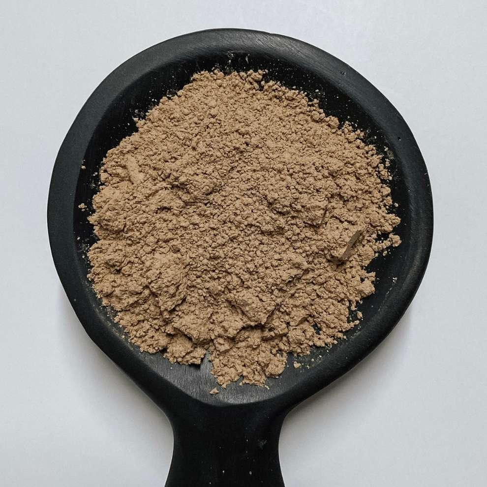 Turkey Tail Mushroom Powder Organic – Soltree Wholefoods